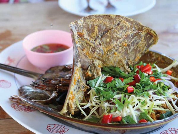 Sam biển - Đặc sản Hạ Long Quảng Ninh “ăn là ghiền” - Nhà hàng Hải sản ...